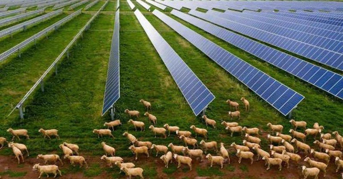 Neoen Begins Construction on 440 MWp Culcairn Solar Project in NSW with ...