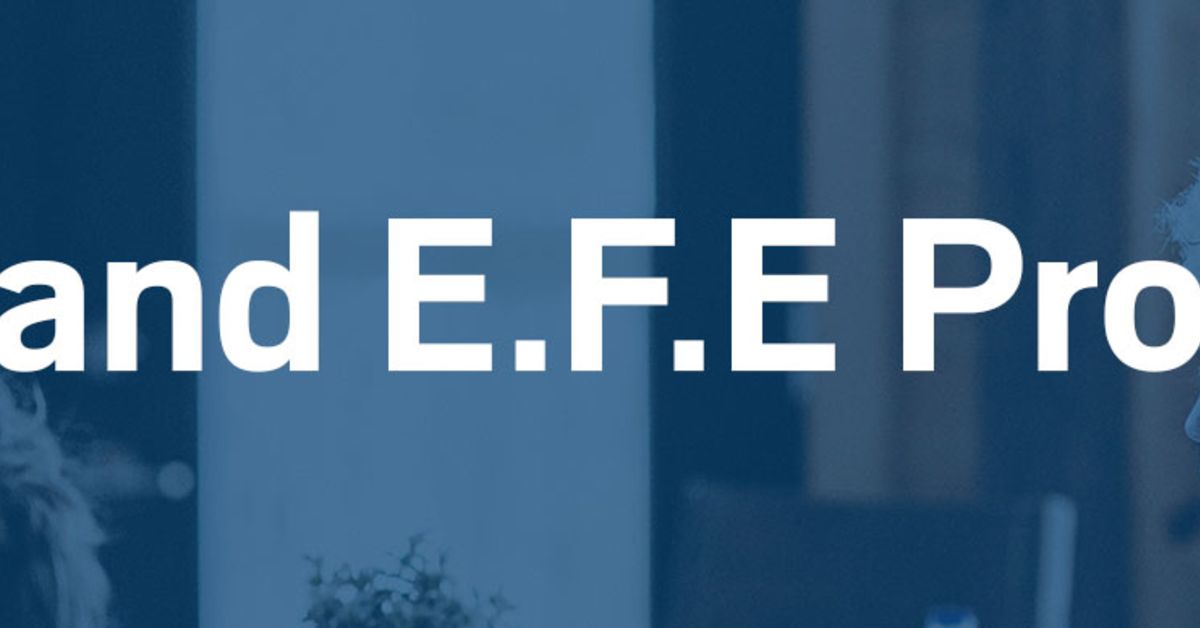 Discover the V.I.E and E.F.E programs | CCI France Australie